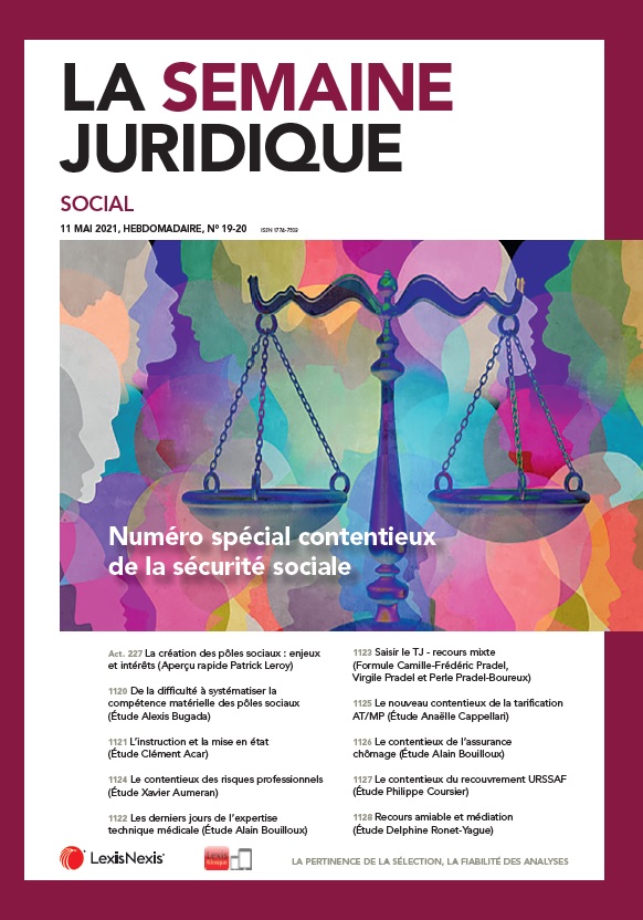 [APERCU RAPIDE] La création des pôles sociaux des tribunaux judiciaires : enjeux et intérêts ...